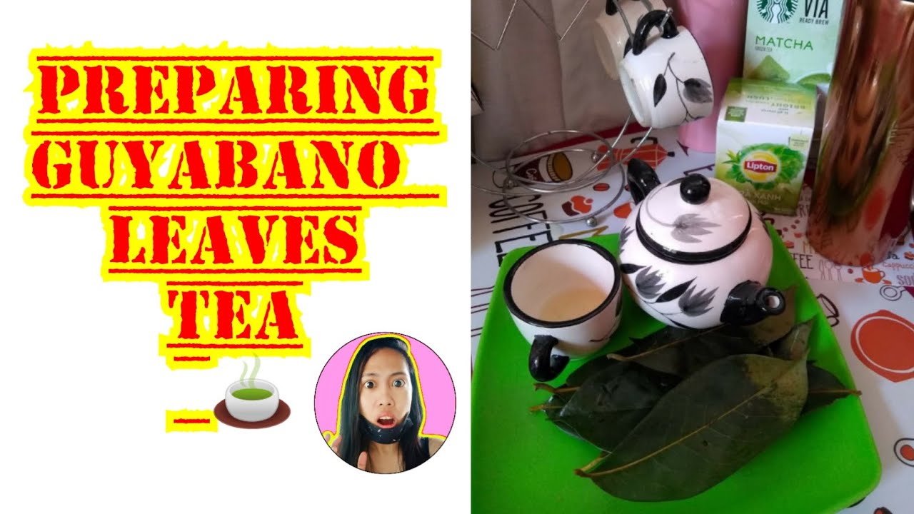 Life in the province | How to prepare Guyabano Leaves Tea - YouTube