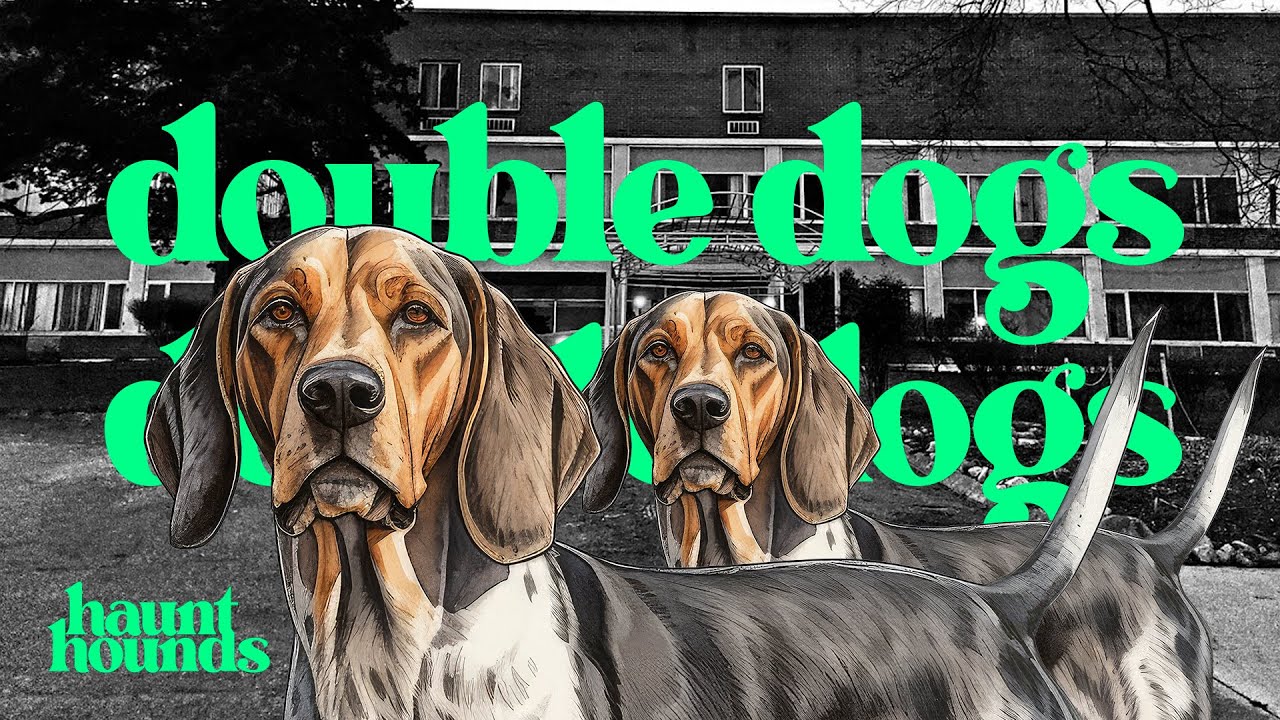 Return To Old South Pittsburg | DOUBLE DOGS - YouTube