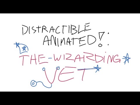 Distractible Animated - The Wizarding Vet - YouTube