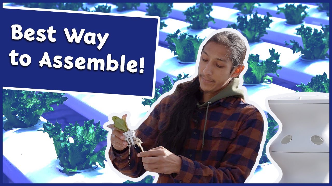 Step-by-Step Guide: Building a Self-Serve Farmstand for Your Produce ...