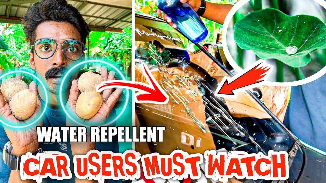 Glassൽ ചേമ്പില effect | Water Reppellent for car | Car glass water ...