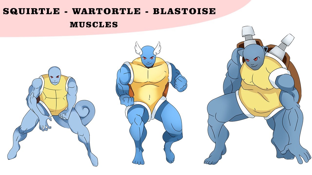 Squirtle - Wartortle - Blastoise Muscle Pokemon - Pokemon As ...