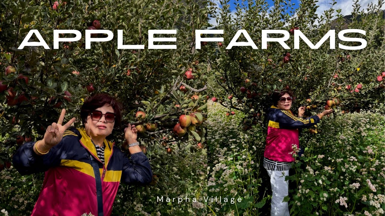 Marpha Village Apple Farm | Mustang Trip - YouTube