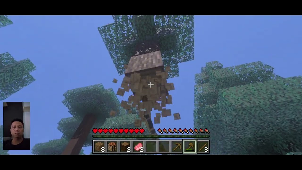 Survival Minecraft Solo Expanding World 🌲 - YouTube