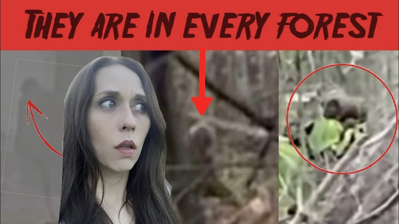 MOST COMPELLING BIGFOOT EVIDENCE so far.. - YouTube