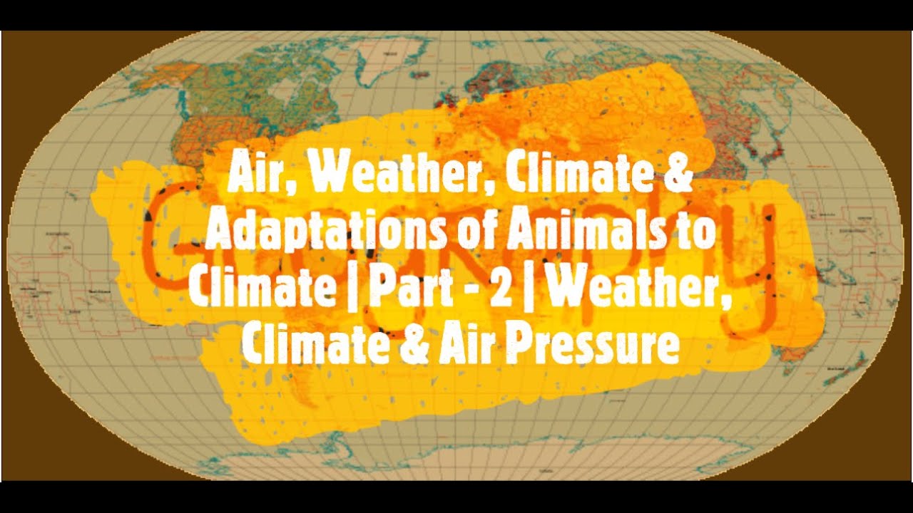 Wind & Its Types | Air, Weather, Climate & Adaptations of Animals to ...
