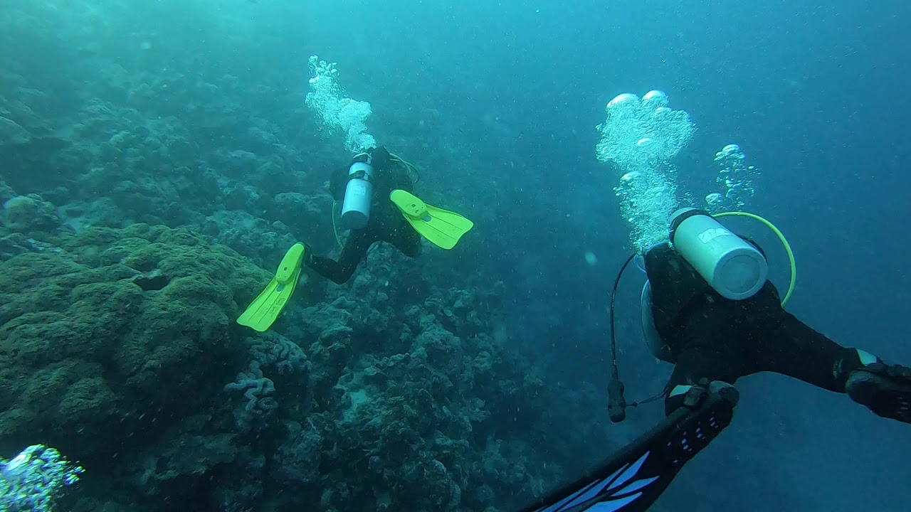 SCUBA Diving Red Sea Dive 4 Pt. 1 - YouTube