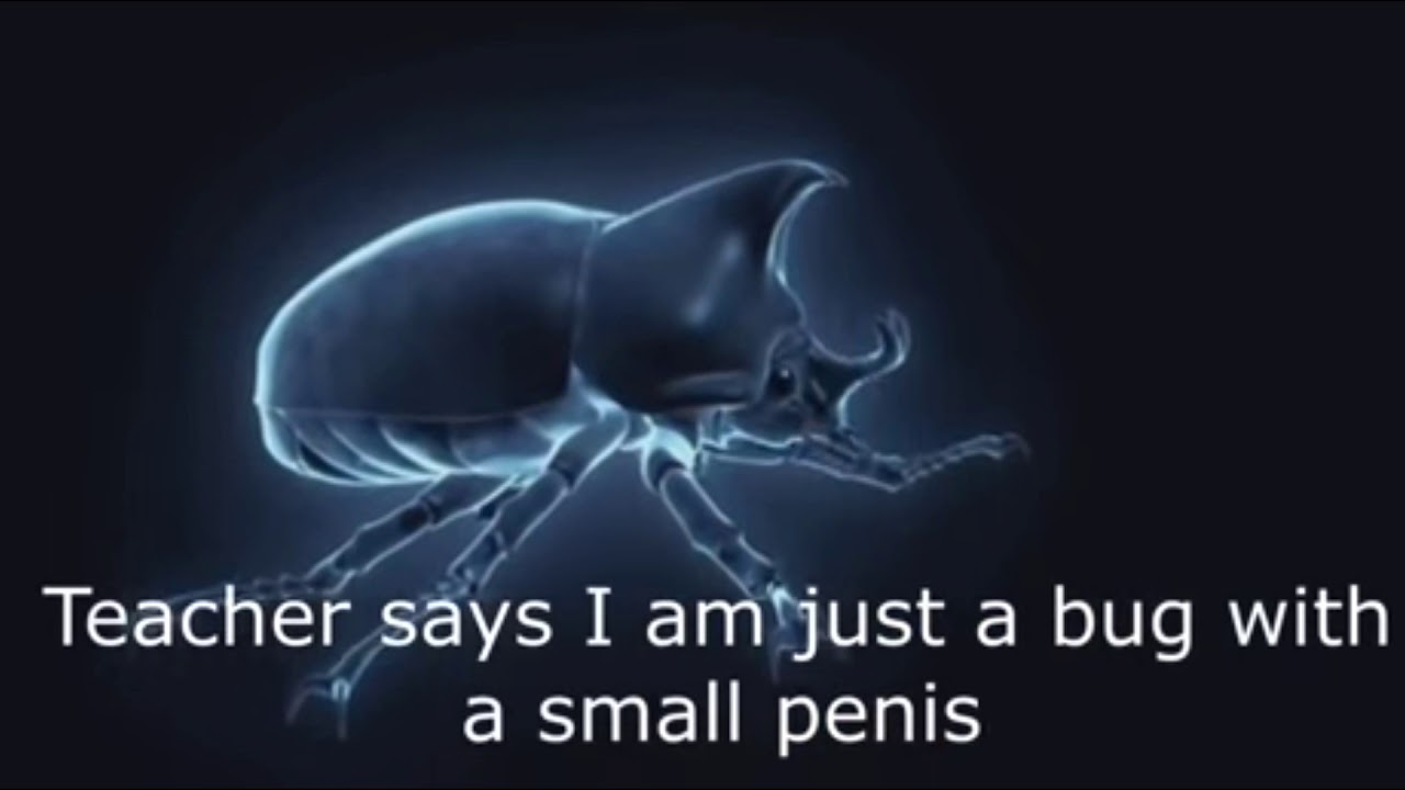 fbi beetle - YouTube