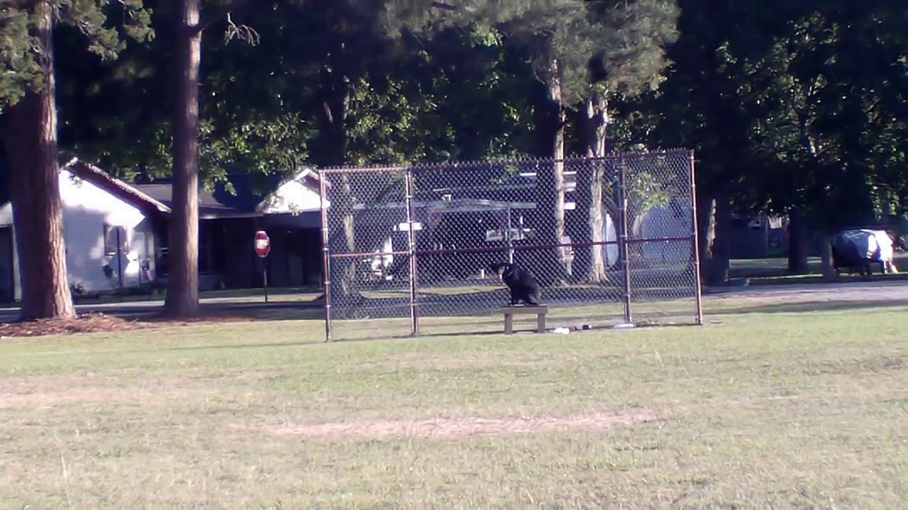 Extended Place - YouTube