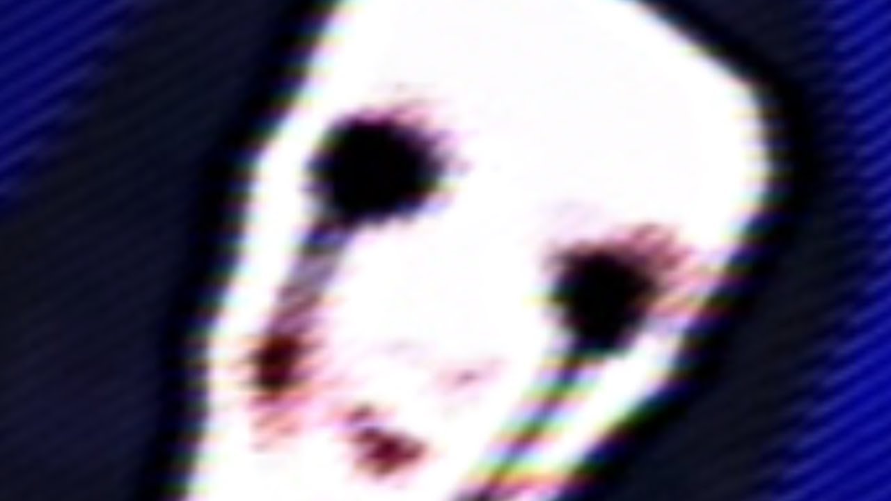 Puppet Combo Returns - YouTube