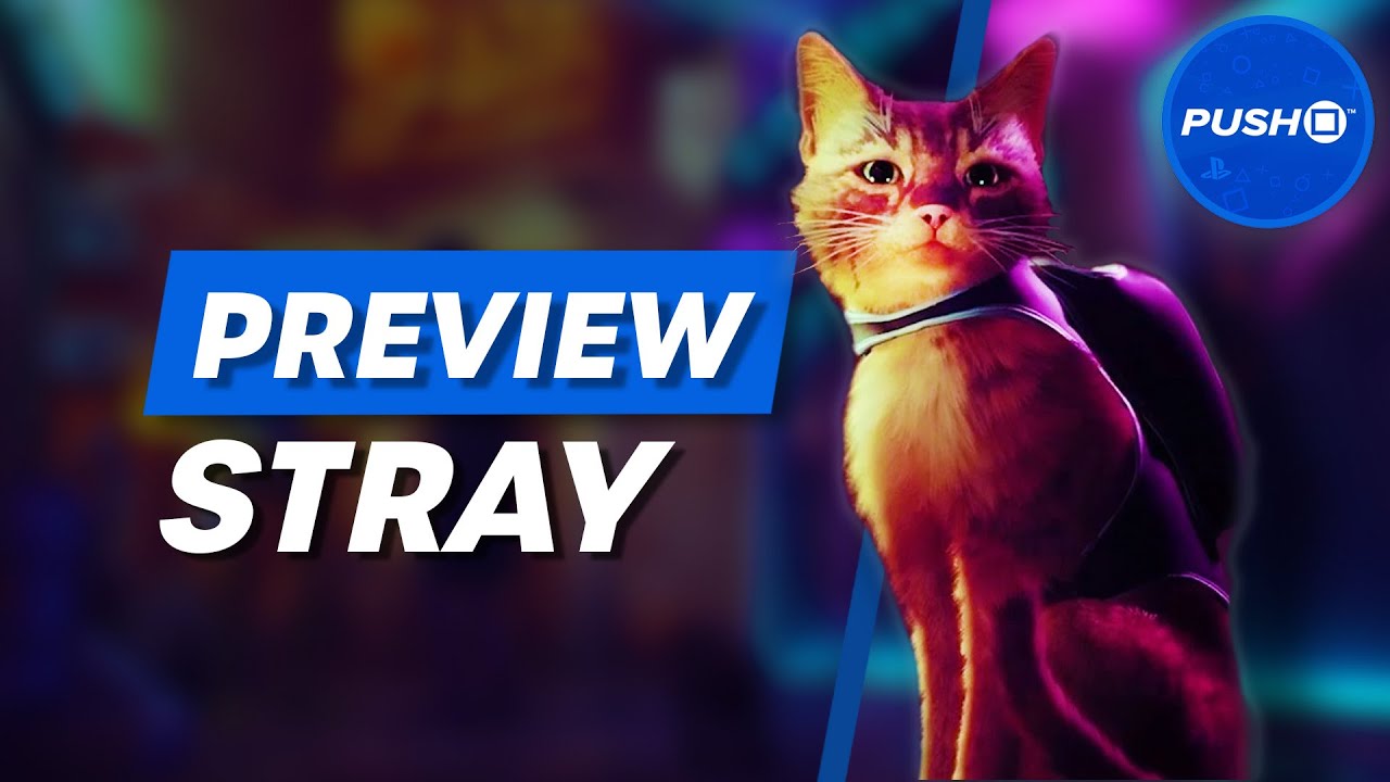 Stray Gameplay Preview: A Supurrbly Detailed Adventure - YouTube