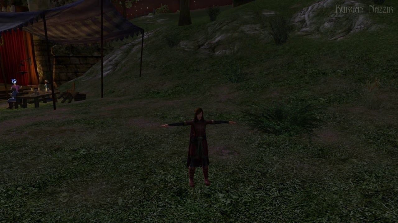 LOTRO - female Elf runekeeper t-pose - YouTube