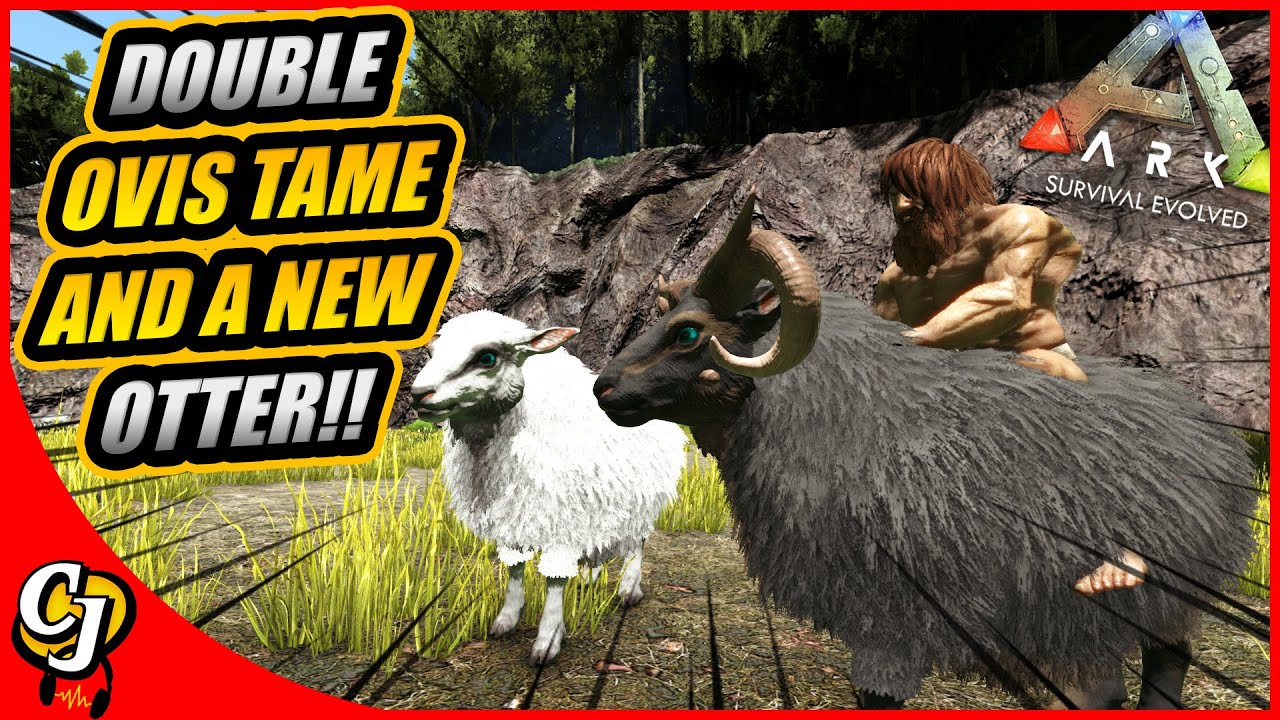 Hunting Down Some THICC OVIS'S To Tame And Looking For A Female OTTER ...