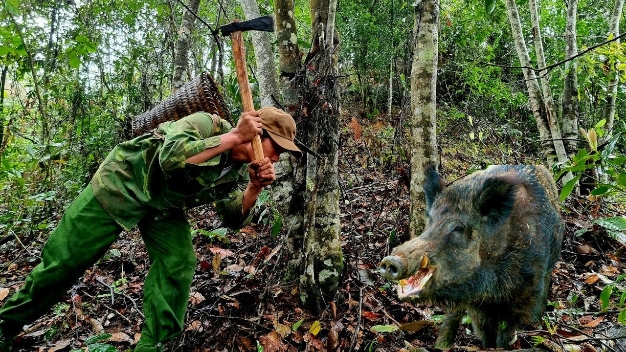 Survival, Skills, Wild boar trap skills, bee catching skills, in the ...