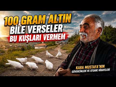 Kara Mustafa'nın En Değerli Güvercinleri - Mustafa Arslantaş Kümes Ziyareti