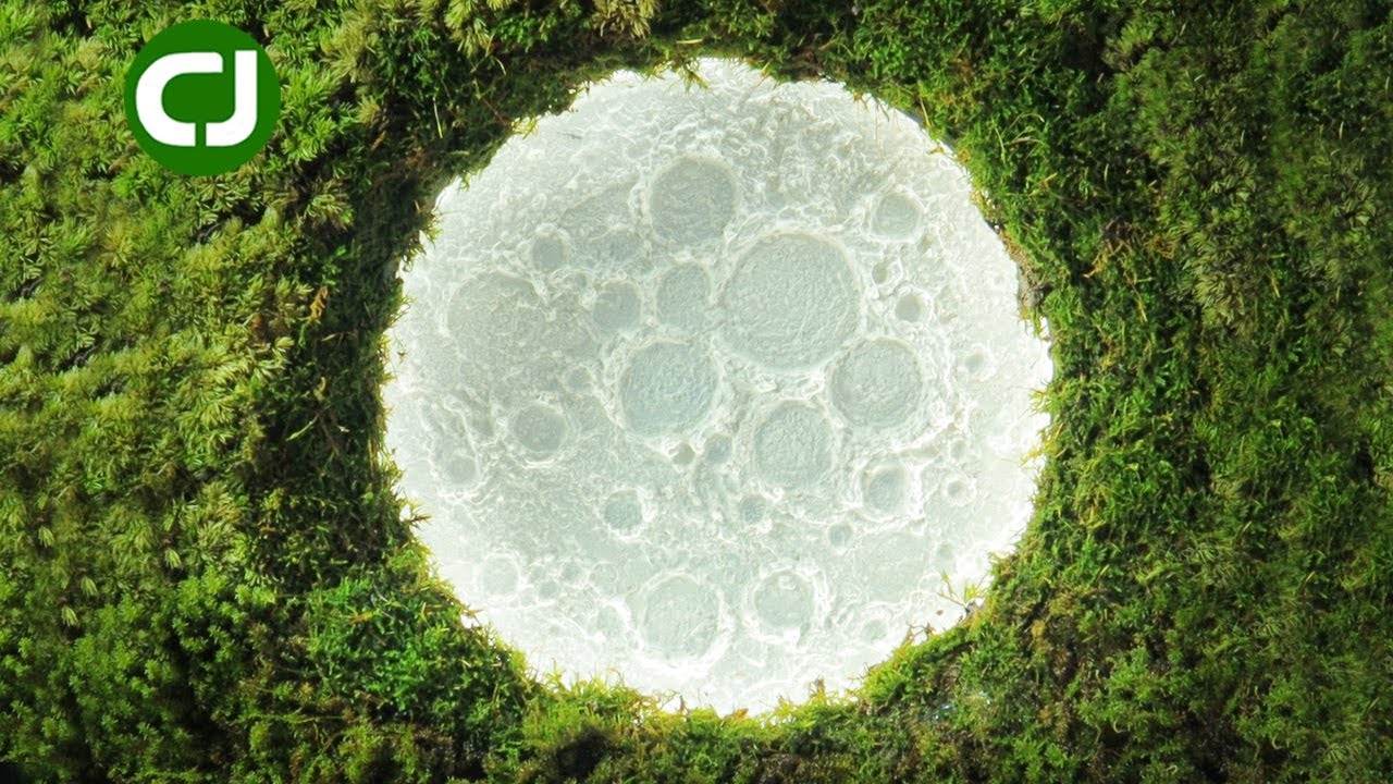 How to Make DIY Moon | Moss Microlandscape - YouTube