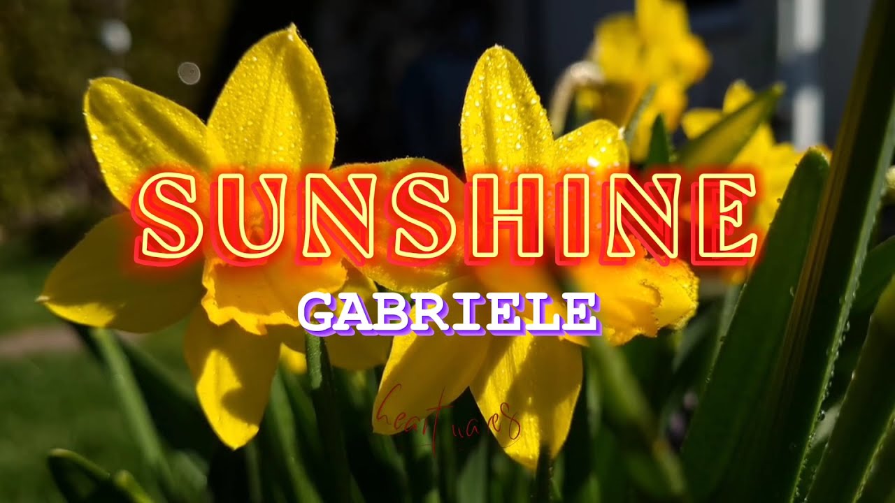 Sunshine (Lyrics) - Gabrielle - YouTube