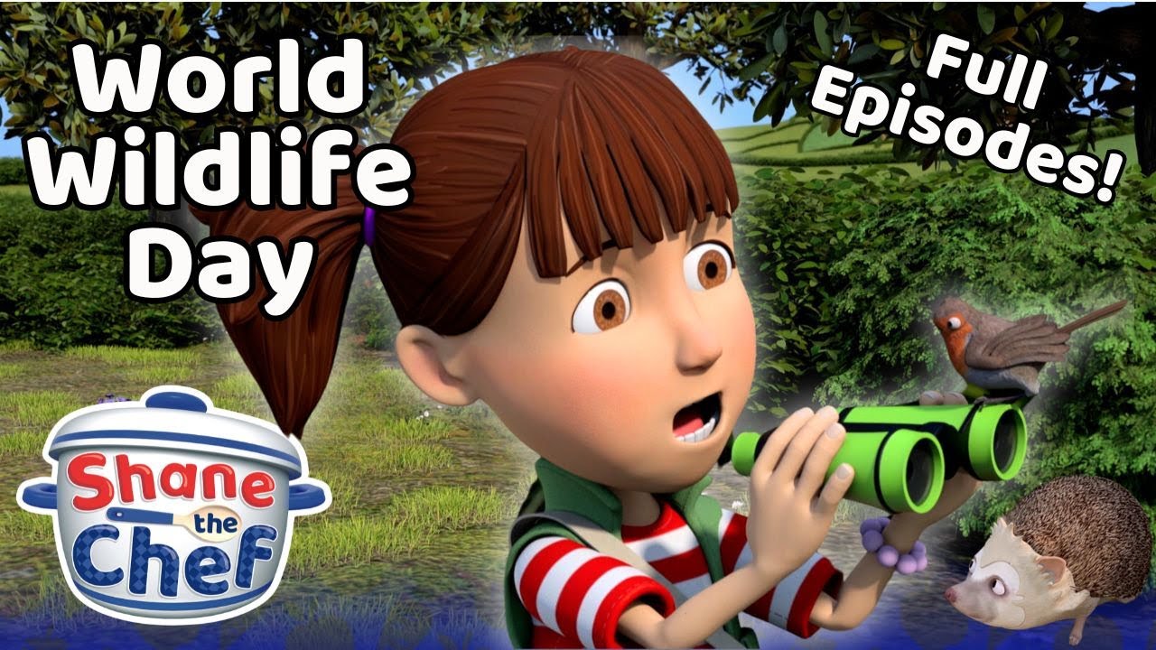 Nature Trail Trouble & Other Wildlife Stories 🐦‍⬛ | Shane the Chef ...