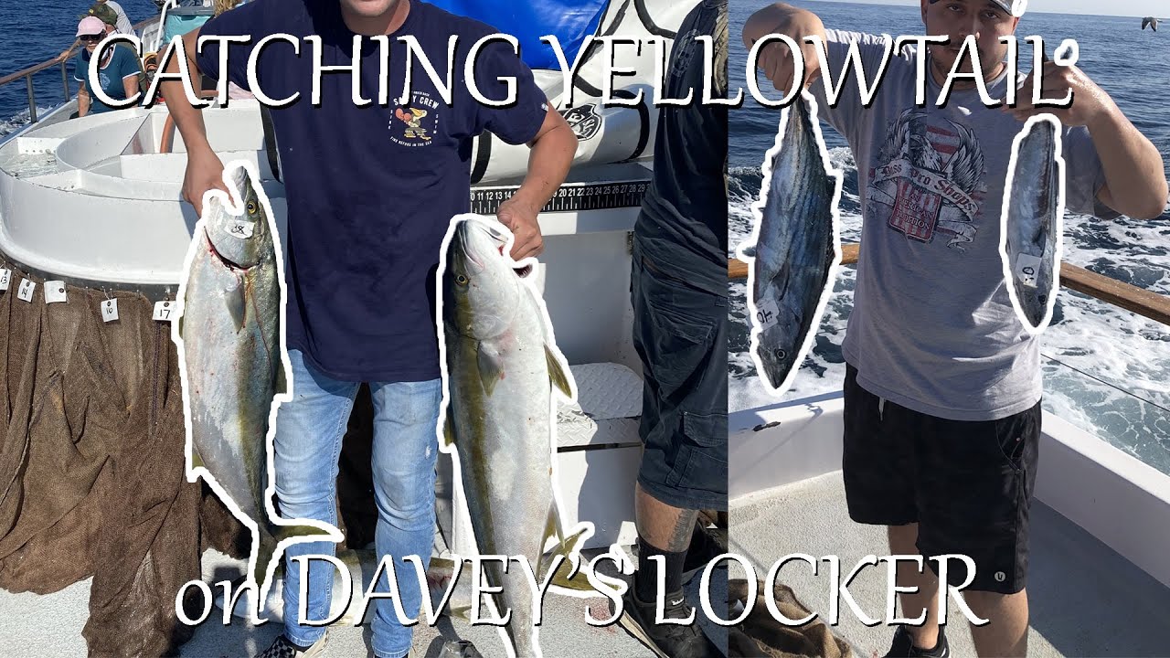 DAVEY'S LOCKER 3/4 DAY FISHING (20 LB+ YELLOWTAIL)!!! - YouTube