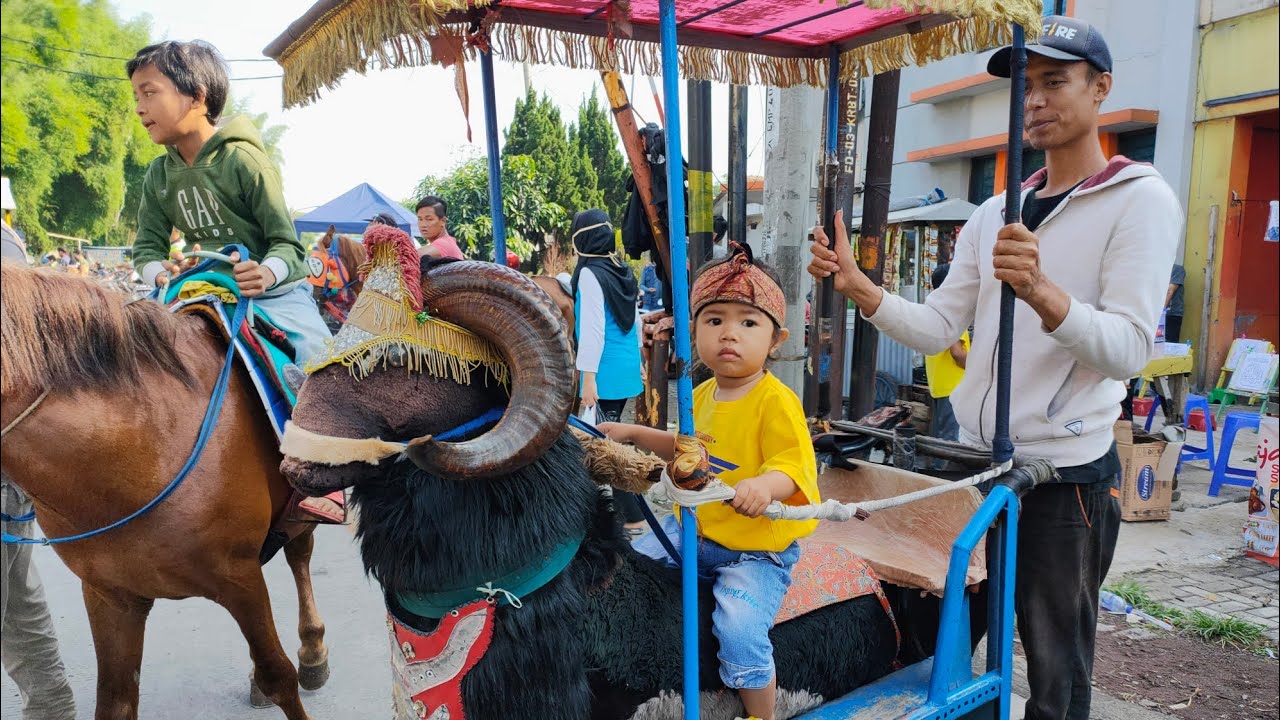 #odongodongdomba #niqeysaqeyqey Naik Odong Odong embe (domba garut ...
