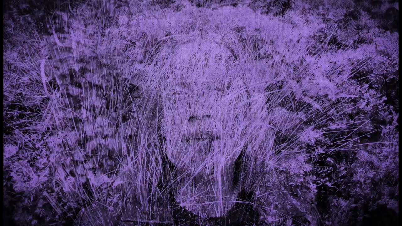 Timothy Monger - "Cranberry Bog" (Official Music Video) - YouTube