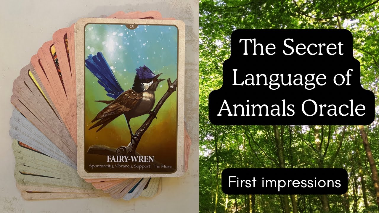 First Impressions | The Secret Language of Animals Oracle - YouTube