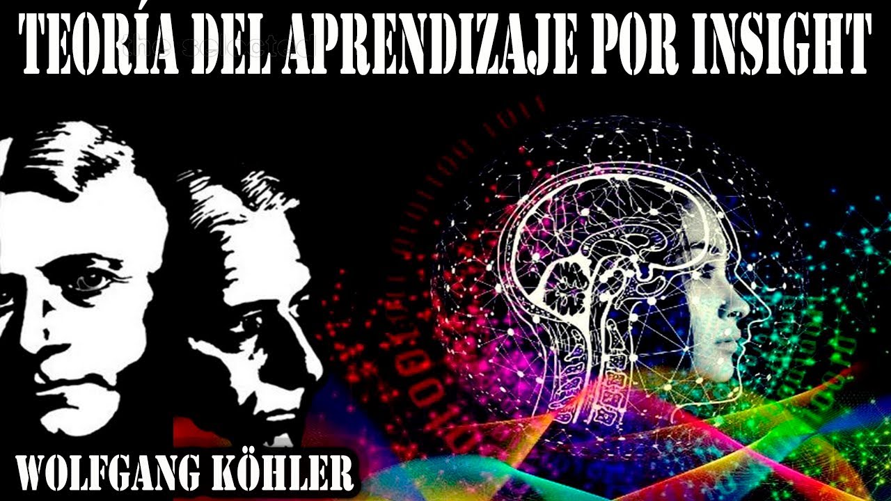 Teoría de Aprendizaje por Insight | Wolfgang Köhler - YouTube