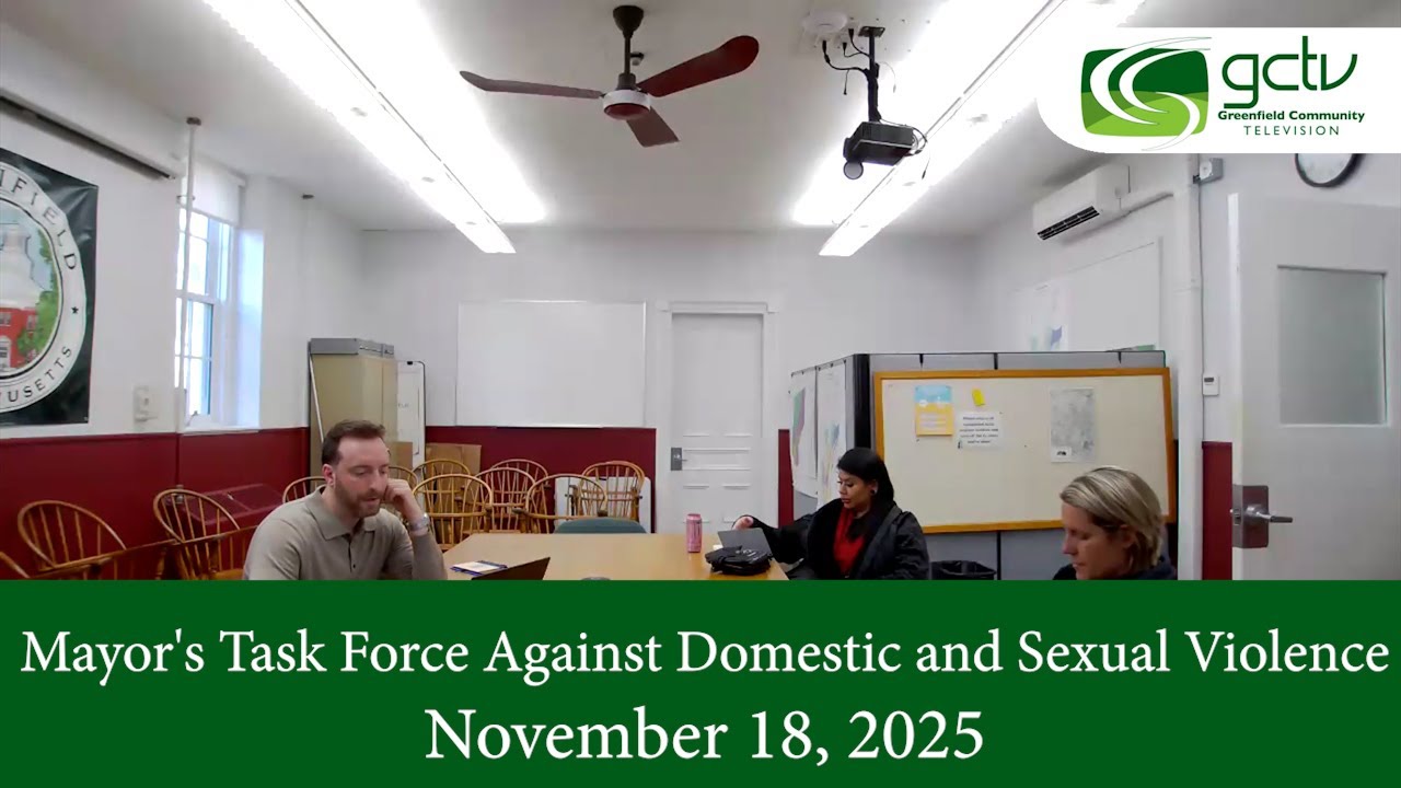 Mayor's Task Force Against Domestic and Sexual Violence November 18 ...