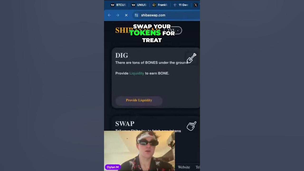 The Ultimate Guide to Swapping SHIB for TREAT on SHIB Swap - YouTube