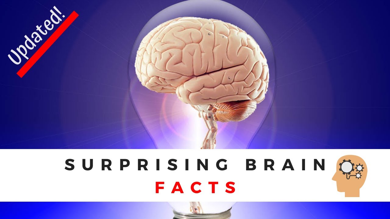 Interesting & Surprising Brain Facts | Facts n Figures - YouTube