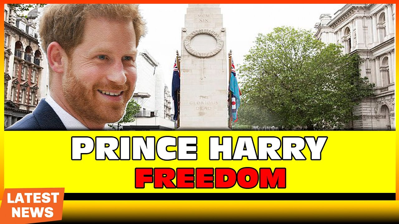 Prince Harry freedom because he no longer relies on royal family | NPN ...