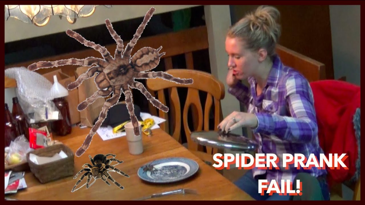 REAL Spider Prank Fail! - YouTube
