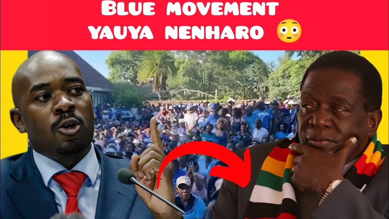 Chamisa Recalled Blue movement MPs vosangana ku BYO vajamuka 😳 - YouTube