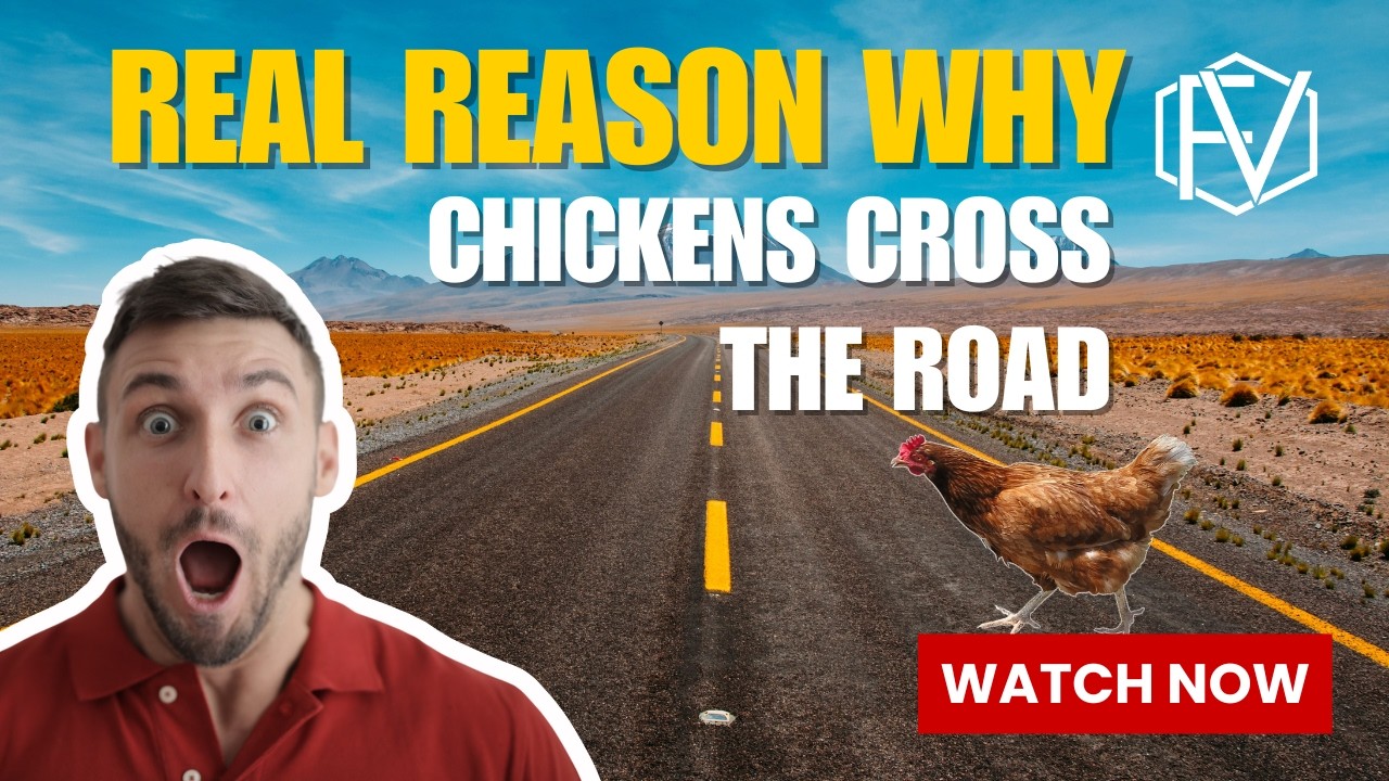 Why Did the Chicken Cross the Road? The Science You Never Expected ...
