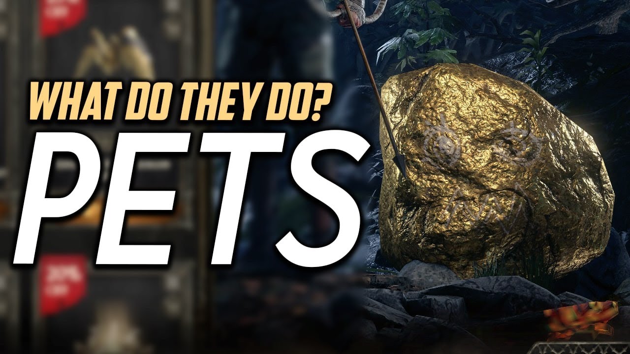 What Do Pets Do In Path Of Exile 2? - YouTube