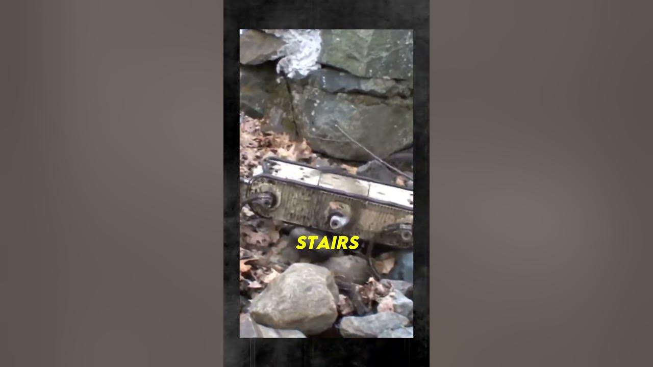 MEET RHEX THE ROUGH TERRAIN ROBOT - YouTube