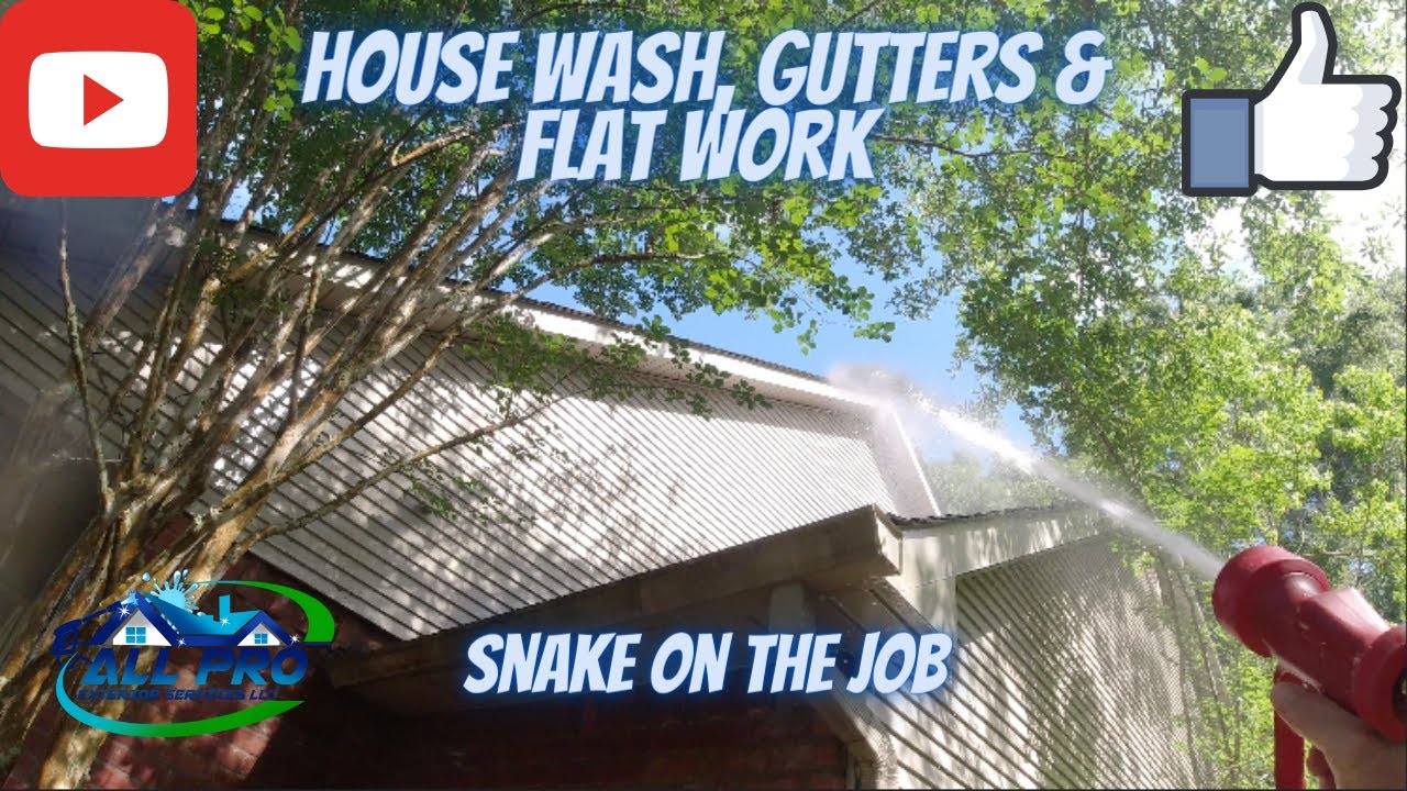 House Wash, gutters & Flat Work- Snake on the Job! - YouTube