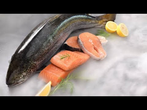 How to make fish Norwegian Salmen It's Professional Cutting 🔪 - YouTube