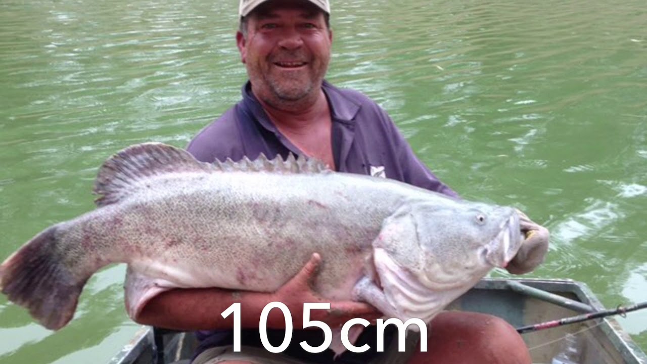 Darling River Fishing 2018 - YouTube