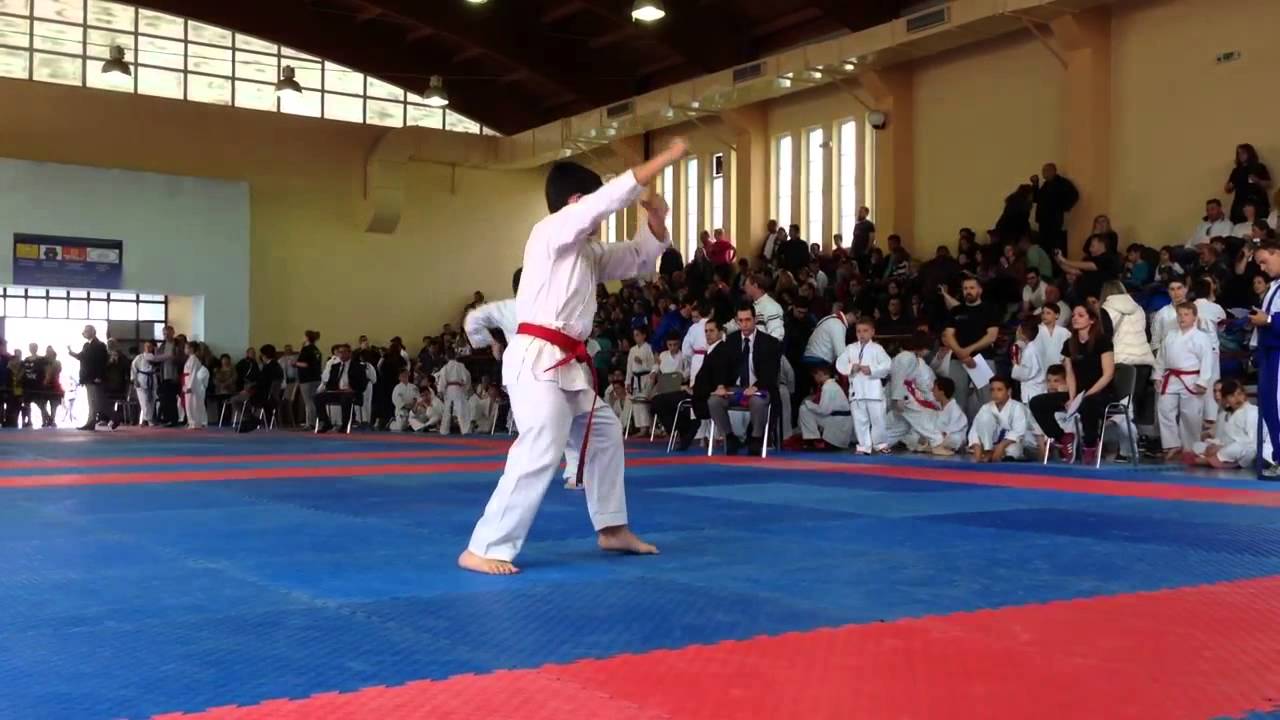 ΚΥΠΕΛΛΟ ΚΑΡΑΤΕ ΚΕΝΤΡΙΚΗΣ ΕΛΛΑΔΟΣ, ΑΜΦΙΚΛΕΙΑ 10 Απριλίου 2016 Kyokushin ...