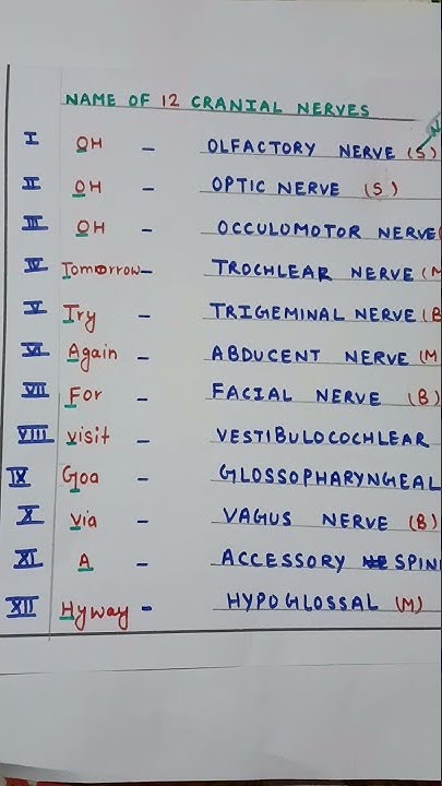 Trick to learn name of cranial nerves// name of 12 cranial nerves easy ...