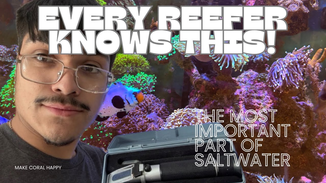 How to PROPERLY test salinity in your saltwater aquarium! - YouTube