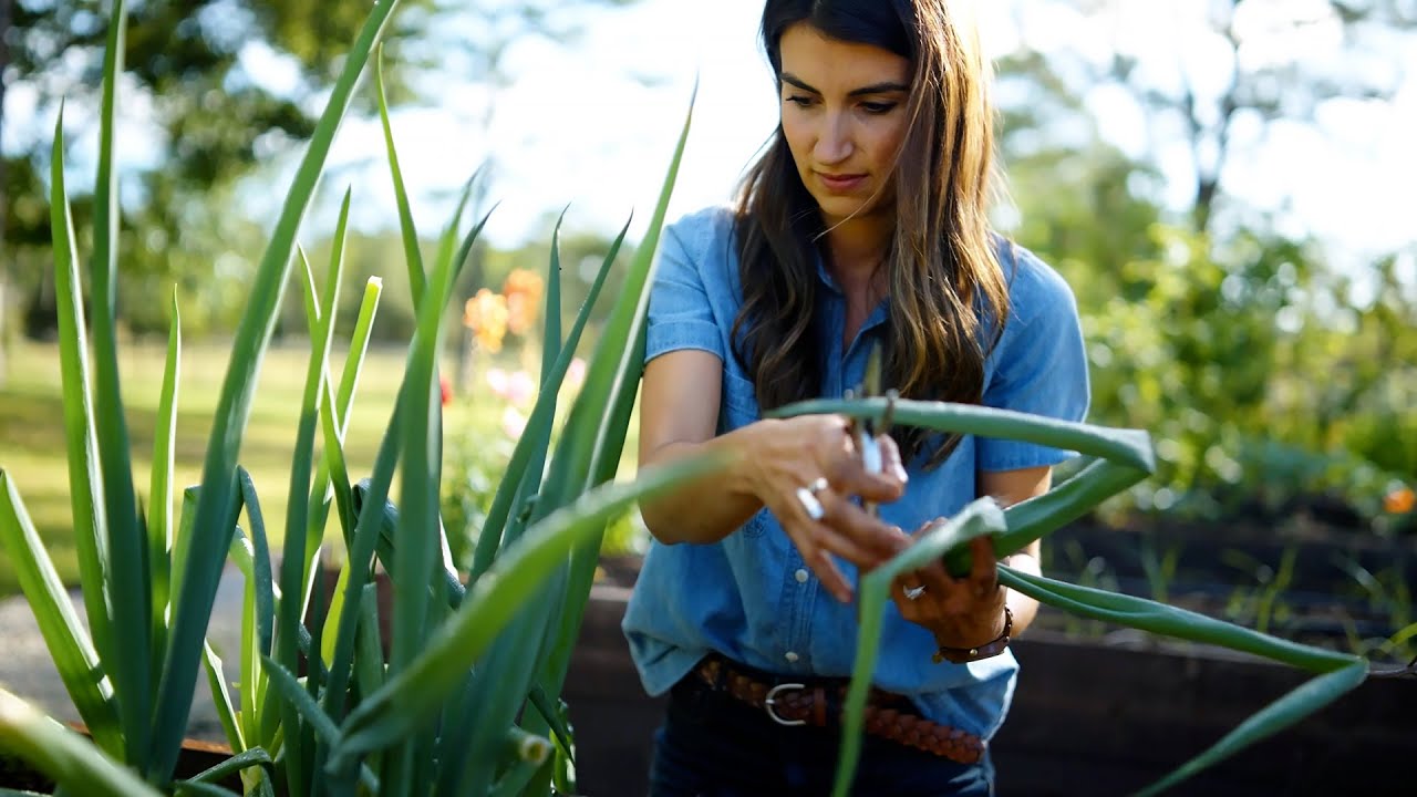 Nina's Garden: Feeding Your Garden - YouTube