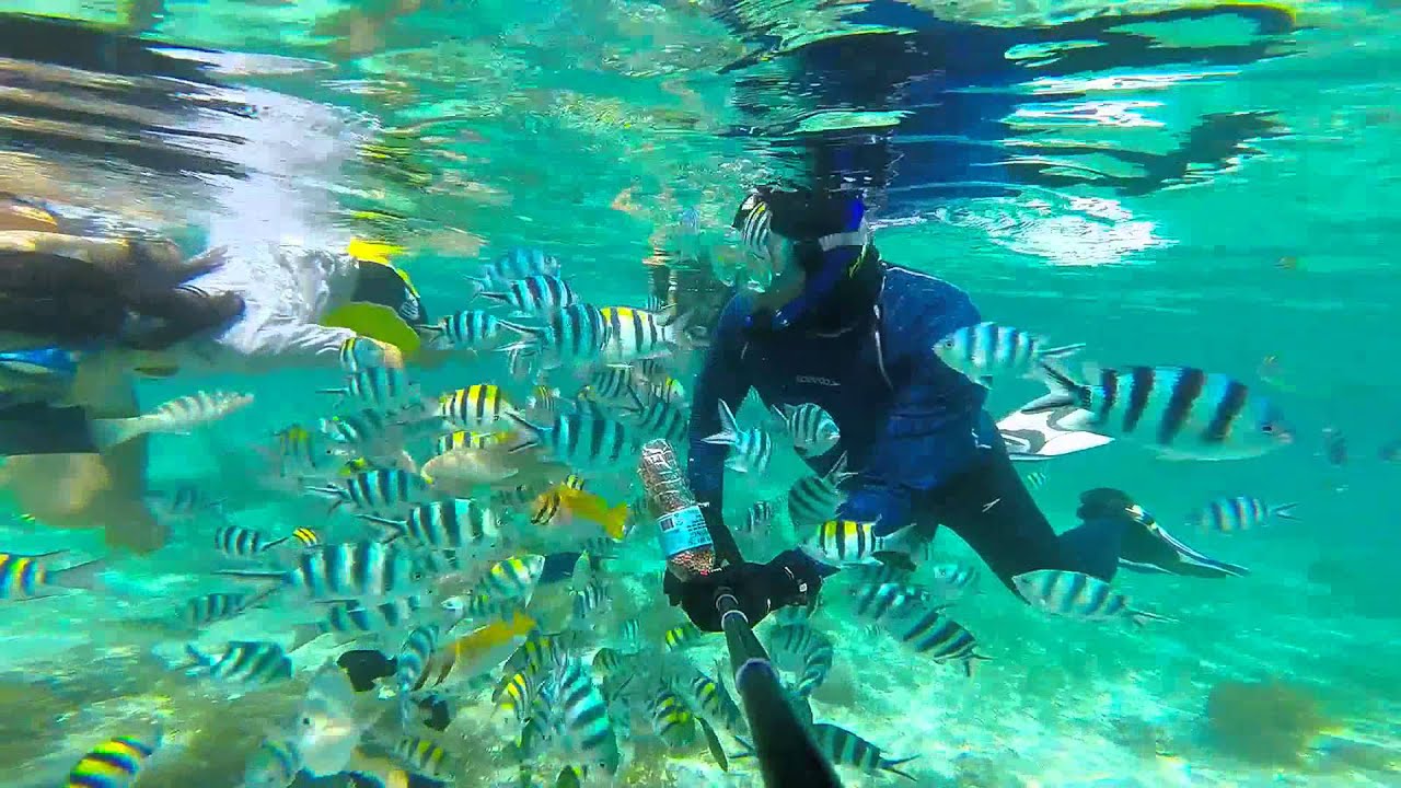 Nalusuan Island Resort - YouTube