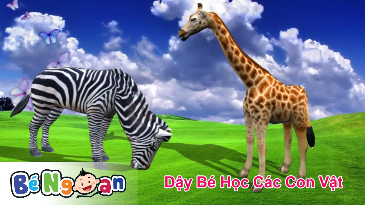 Dậy bé học các con vật ~ Các con vật cho bé hay và đáng yêu nhất - YouTube