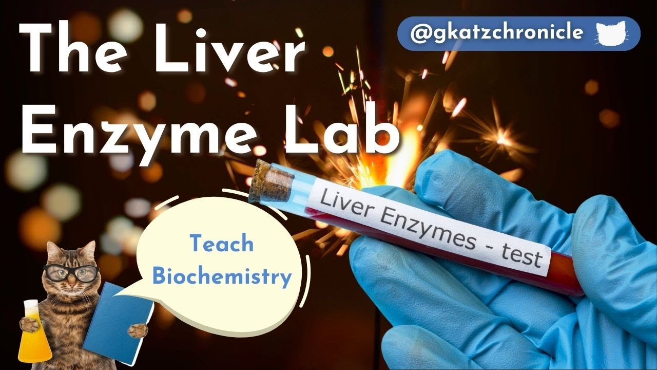 The Liver Enzyme Lab - Teach Biochemistry - YouTube