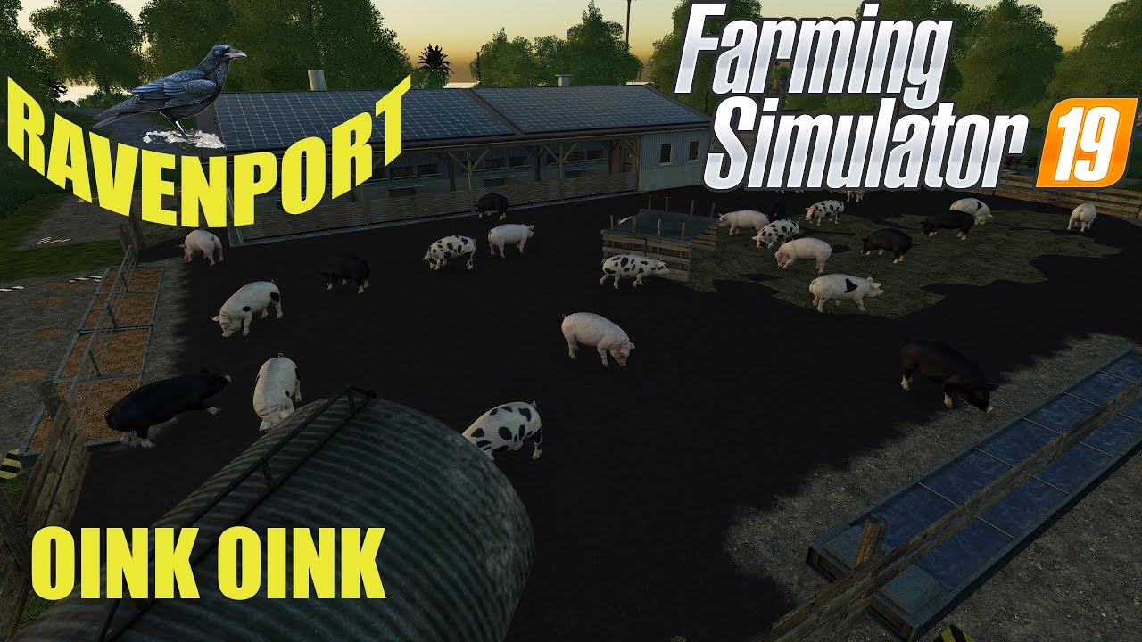 Ravenport Ep 63 Farming Simulator 19 Pigs, Pigs, and more Pigs - YouTube