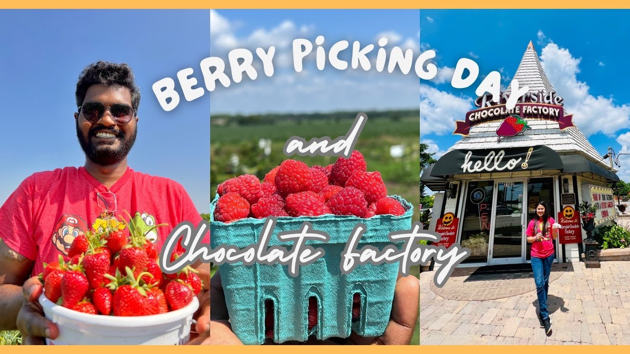 Berry Picking at Heider's Berry Farm| Riverside Chocolate Factory ...