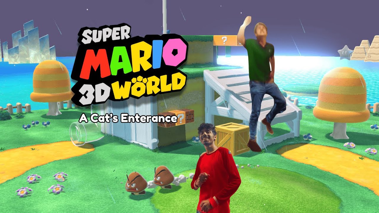 FIRST TIME ON SM3DW, "Experiencing the Cat World" Ft. Swbg And Dino (6% ...