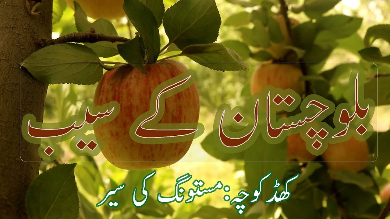 BALOCHISTAN | APPLE GARDENS | KHAD KOCHA VISIT | MASTUNG | - YouTube